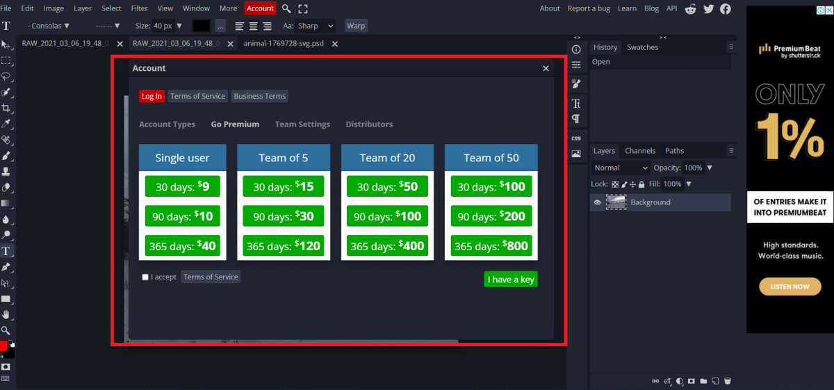 Photopea Review - Can it Replace the Premium Photo Editors?
